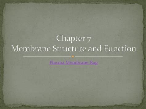 Chapter Membrane Structure And Function Plasma Membrane