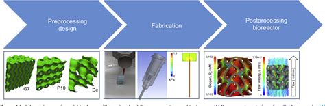 Figure 41 From Computational Design Of Tissue Engineering Scaffolds