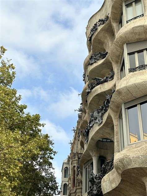 신규교사 해외여행 가기 국외자율연수 계획서 41조 연수 나이스 복무 상신 네이버 블로그