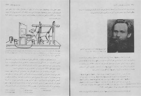 جهت بزرگنمایی کلیک کنید