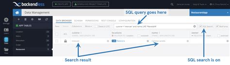 How To Use Sql Based Search For Data Objects In Backendless Console Backendless