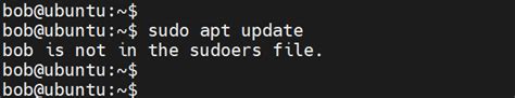 How To Add A User To Sudoers In Ubuntu Step By Step Cherry Servers