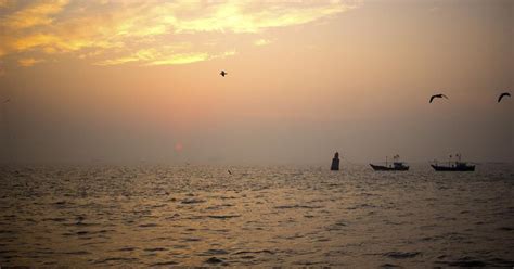 Mumbai Daily Sunrise At Sassoon Docks