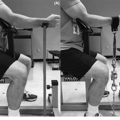 Pdf Parisons Of Agonist And Antagonist Muscle