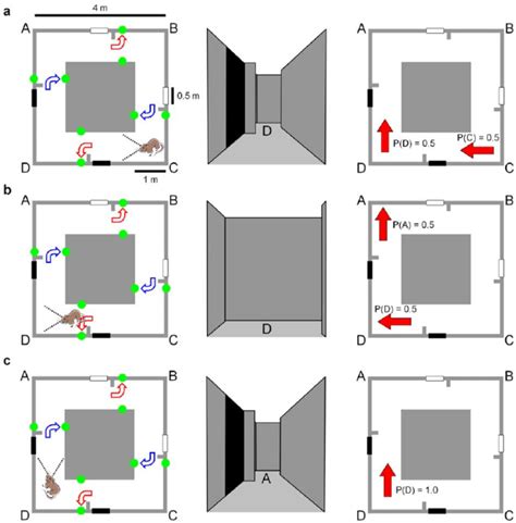 The Perceptually Ambiguous Corridor Arena And A Schematic Of The Download Scientific Diagram