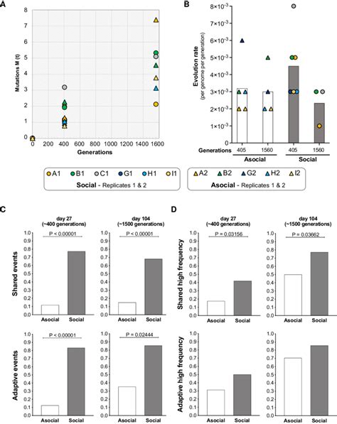 molecular e coli evolution in a social and asocial context a
