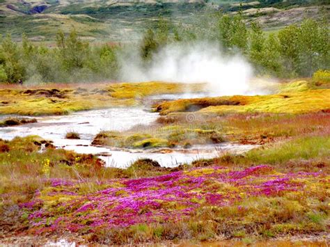 Paisajes De Islandia Fotos De La Ruta Foto De Archivo Imagen De Costa Acantilado 254138436