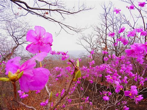 찬민 진리는 하나요 둘일 수 없다 그러므로 진리를 아는 사람은 다투지 않는다 그러나 사람들은 제각기 다른 진리를 찬양하고 있다 자기와 반대 의견을 가진 자는