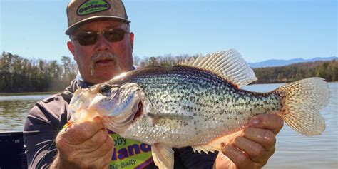 Crappie Fishing Cheat Code
