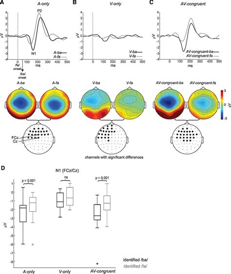 Aeps Of Control Conditions N 19 A C Group Aep Waveforms Top Download Scientific Diagram