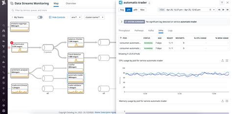 Data Streams Monitoring