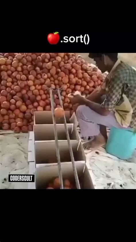 𝗙𝗢𝗟𝗟𝗢𝗪 coderscult 𝗙𝗢𝗥 𝗠𝗢𝗥𝗘 computer pythonprogramming coders datascience