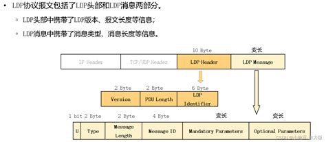 Mpls Ldp原理与配置 Csdn博客