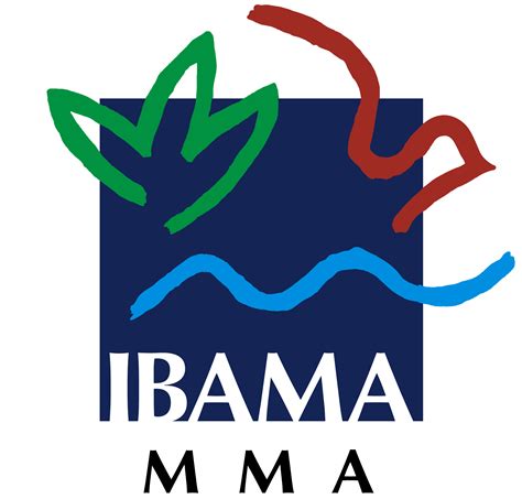 Sobre As Inscrições Cbai 2025