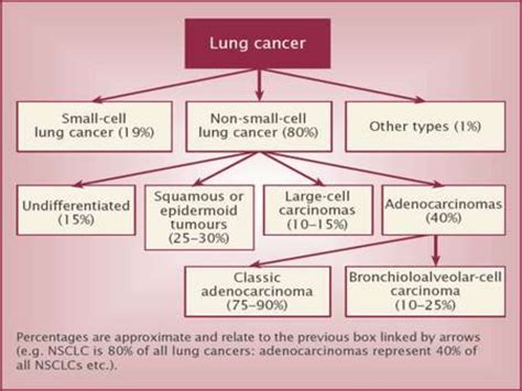 Histological Classification Of Lung Cancer A Lung Can