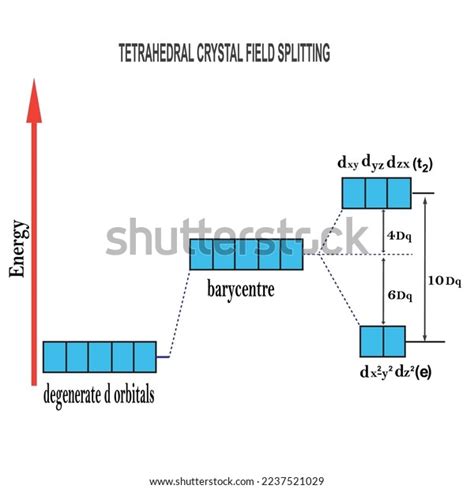 Tetrahedral Crystal Field Splitting Coordination Compounds Stock Vector
