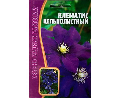 Клематис 1 группы обрезки северный — купить по низкой цене на Яндекс ...