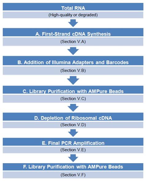 Ultra Low Input Total Rna Sequencing Cancer Genomics Center Uthealth
