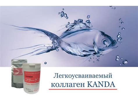 Коллаген Kanda (Япония) | PPT | Free Download