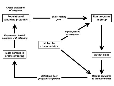 The Genetic Programming Process This Iterative Technique Was Employed