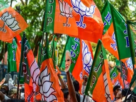 Madhya Pradesh Lok Sabha Opinion Poll 2024 Big Win Predicted For Bjp