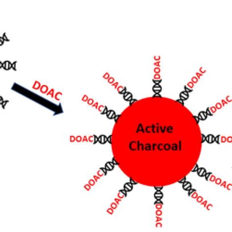 Schematic Representation Of Doac Absorbents Doac Are Absorbed On Download Scientific Diagram