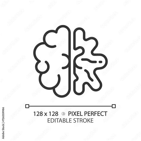 Alzheimer Brain Linear Icon Neurological Disorder Dementia Care Cognitive Development Brain