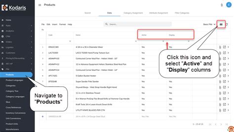 Kodaris Product Documentation Active And Display Product Settings