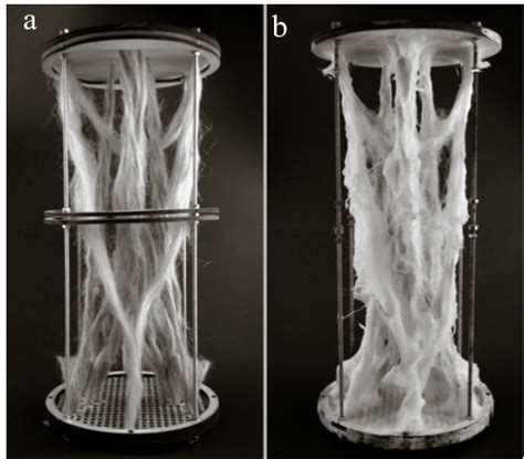 A Hemp Fibres Arranged In Frame Bgrowth Of Mycelial Onto Original Hemp Download Scientific