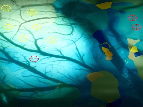 Elon Musk Says He Has Totally Happy Monkey With Brain Chip So It Can Play Video Games Using