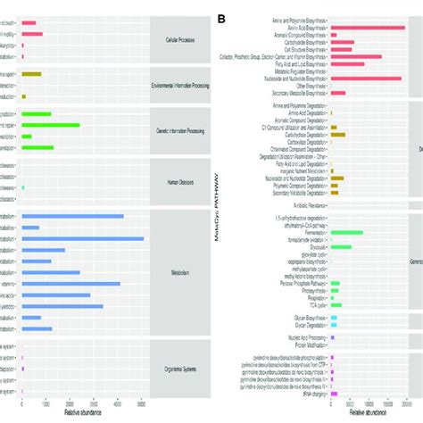 A Predicted Abundance Of Kegg Secondary Functional Pathways The