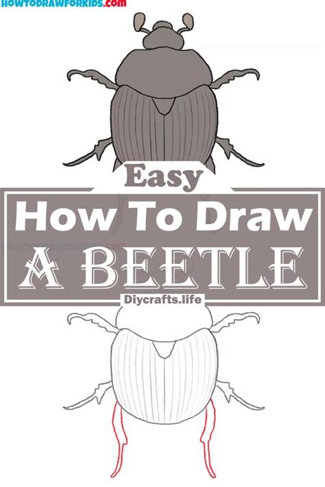 20 Amazing Bug Drawings With Step By Step Guide DIY Crafts