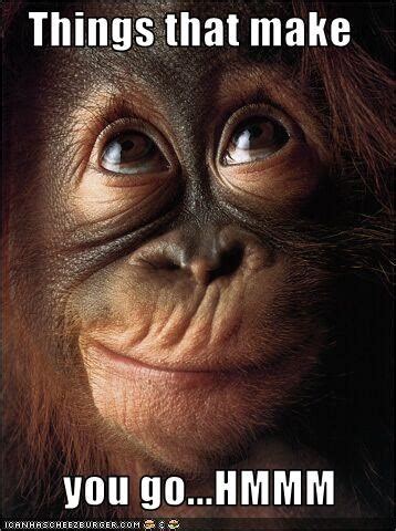 GetAnimationByName Technical Support SexLab Framework LoversLab