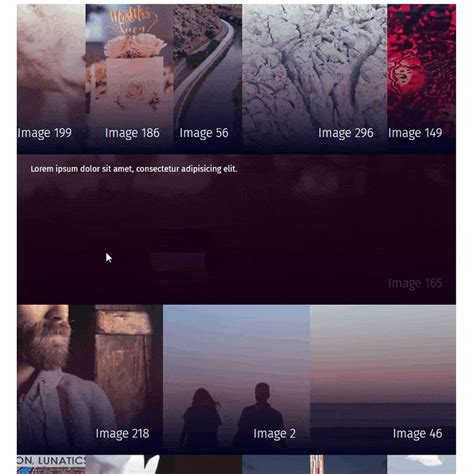 Css Hover Effects For Web Design