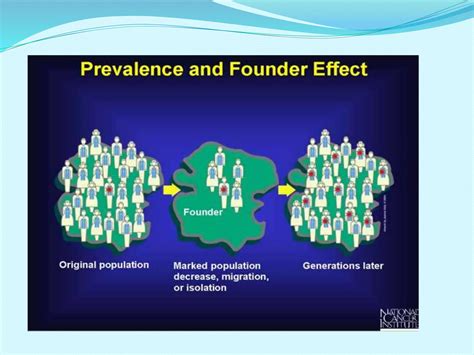Population Size And Genetic Drift PPTX Biological Sciences Science