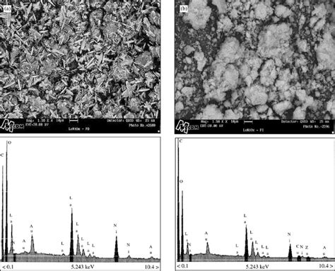 Scanning Electron Microscopy Coupled To Energy Dispersive X Ray