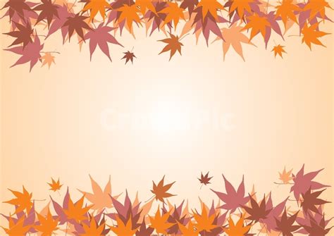 가을 단풍 배경 프레임 계절 사진이미지일러스트캘리그라피 雪井작가