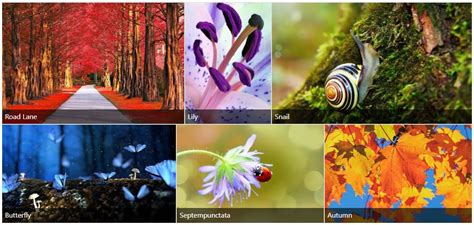 10 Best Wordpress Gallery Plugins You Should Use In 2025