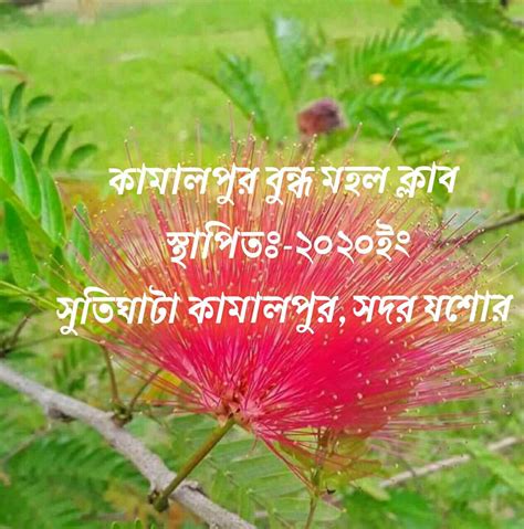 কামালপুর বন্ধু মহল ক্লাব