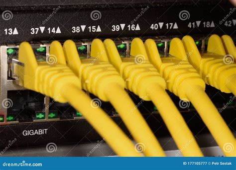 Detail Of GBit Ethernet Switch Stock Image Image Of Ethernet Computer