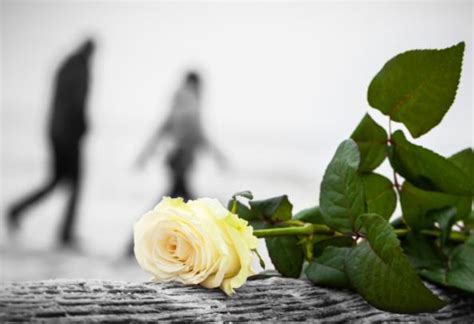 自我和谐量表测评