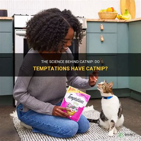 the science behind catnip do temptations have catnip shuncy