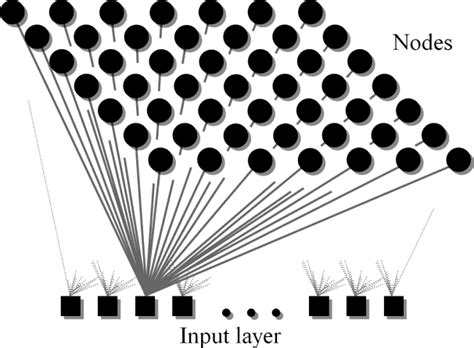 schematic representation of the self organizing map download