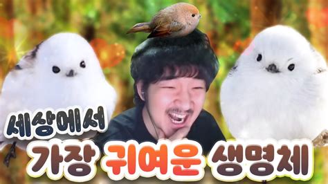 갱신 세상에서 제일 귀여운 생명체 너무귀엽다 Youtube