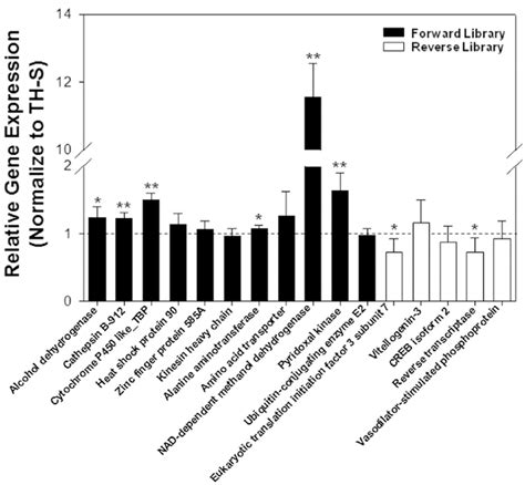 Quantitative Real Time Pcr Validation The Gene Expression Level Of 16 Download Scientific