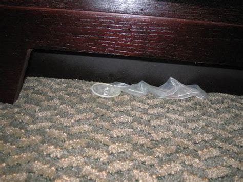 Under The Cupboard Aquilifer