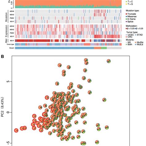 Landscape Of Msi H Samples A Profile Of Mutation Burden And Six