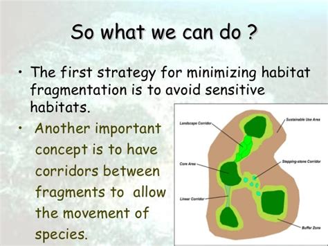 Habitat Loss And Fragmentation