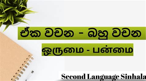 ඒක වචන බහු වචන ஒருமை பன்மை Singular And Plural Nouns Youtube
