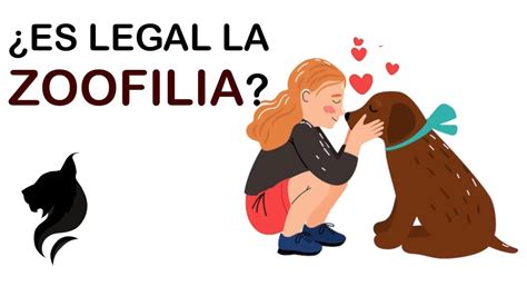 ¿es Legal La Zoofilia Controversia Con La Nueva Ley De Bienestar
